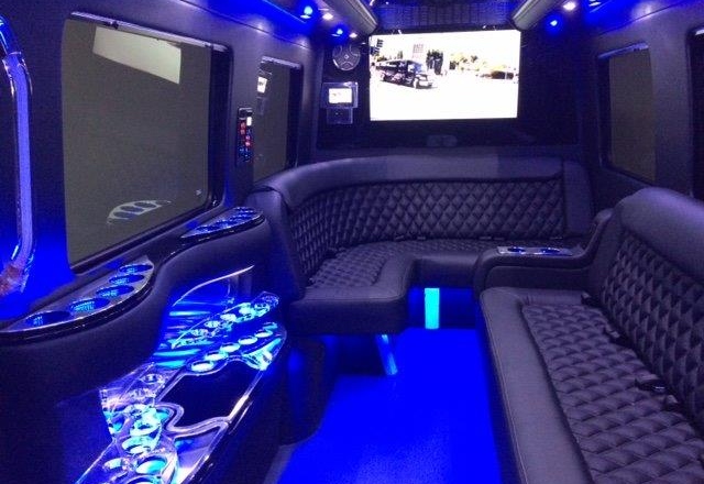 Our Party Bus Fleet: Luxury Choices for Every Event